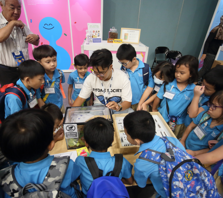 Edible Insect Protein Snacks – Altimate Nutrition