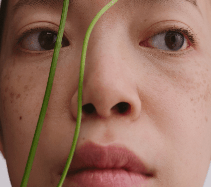 Edible Insect Protein Snacks – Altimate Nutrition